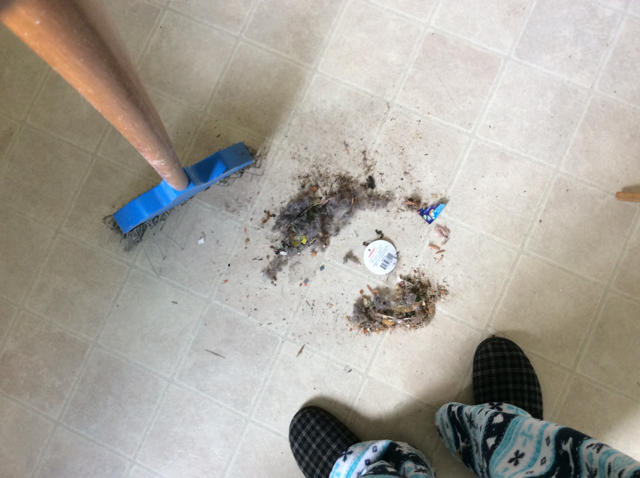 Sweep a Floor - PEP BB nest.sand.sweepfloor (pep-nest forum at permies)