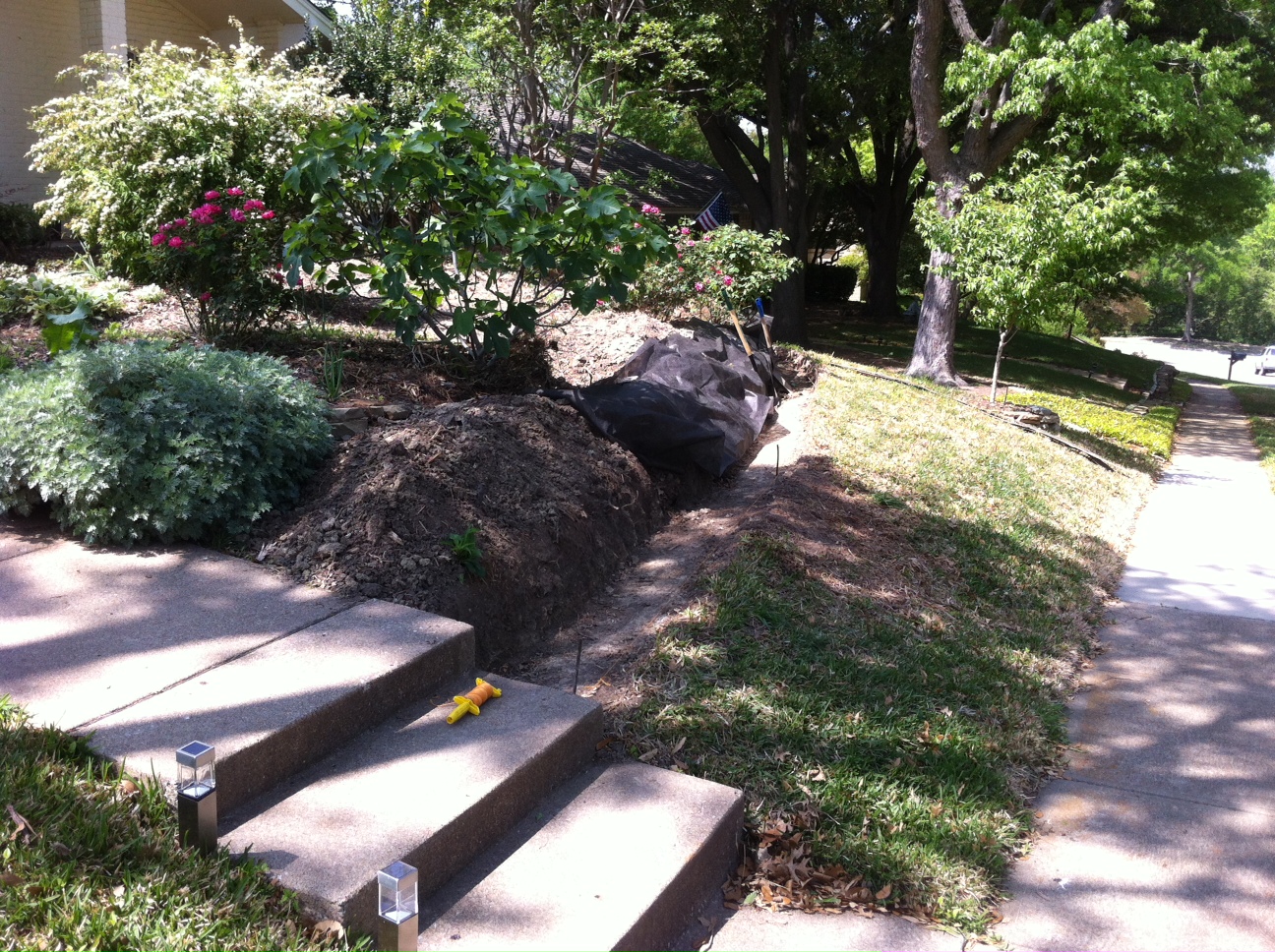 Broken Concrete Terrace documentation/discussion (permaculture forum at ...