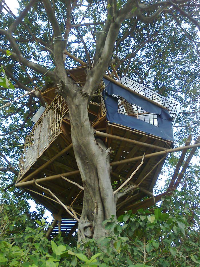 treehouses (natural building forum at permies)