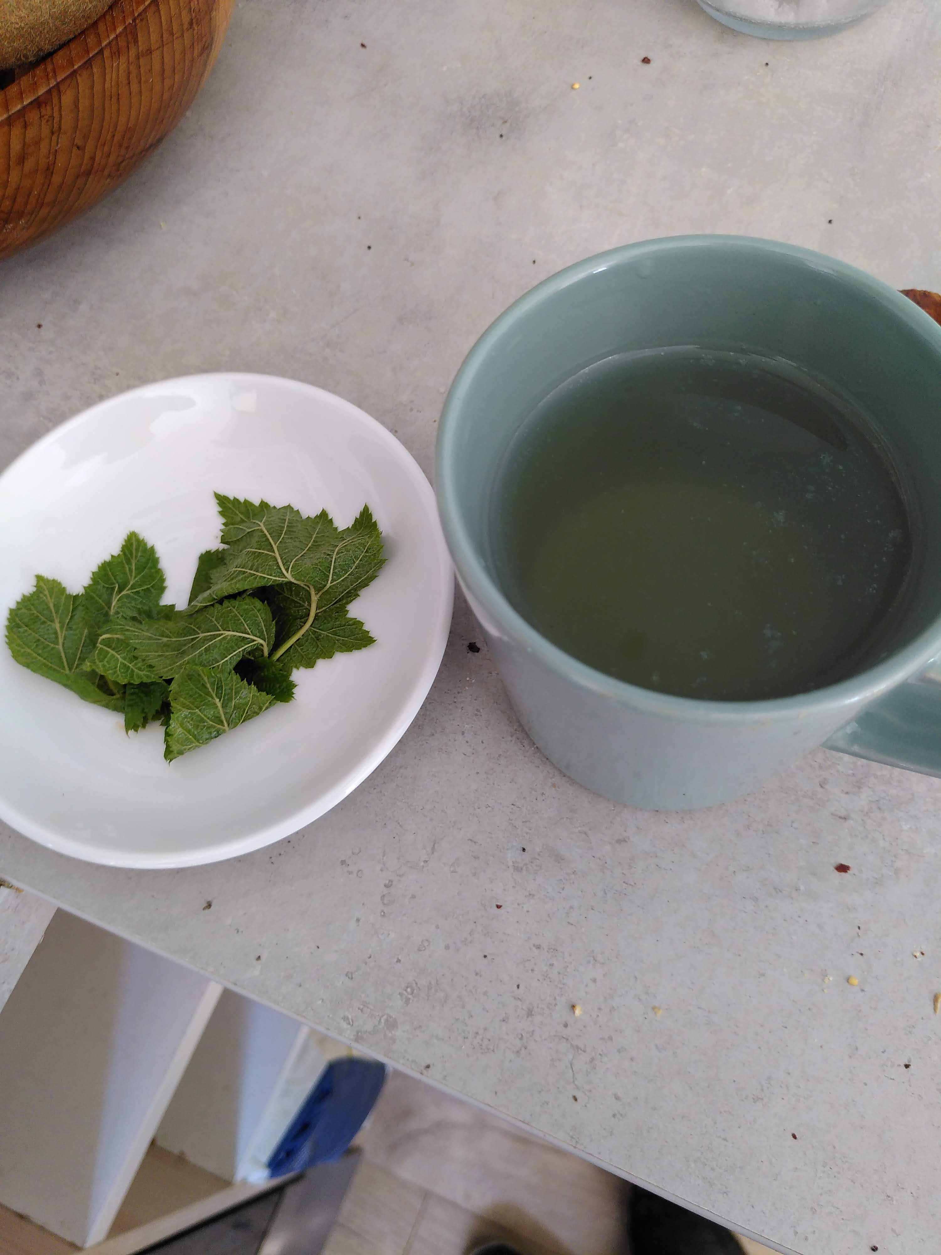 Create an infusion of raspberry leaf - PEP BB medicine.sand ...