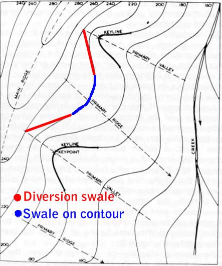 Help! swales vs. keyline - was Yeoman right? (permaculture forum at ...