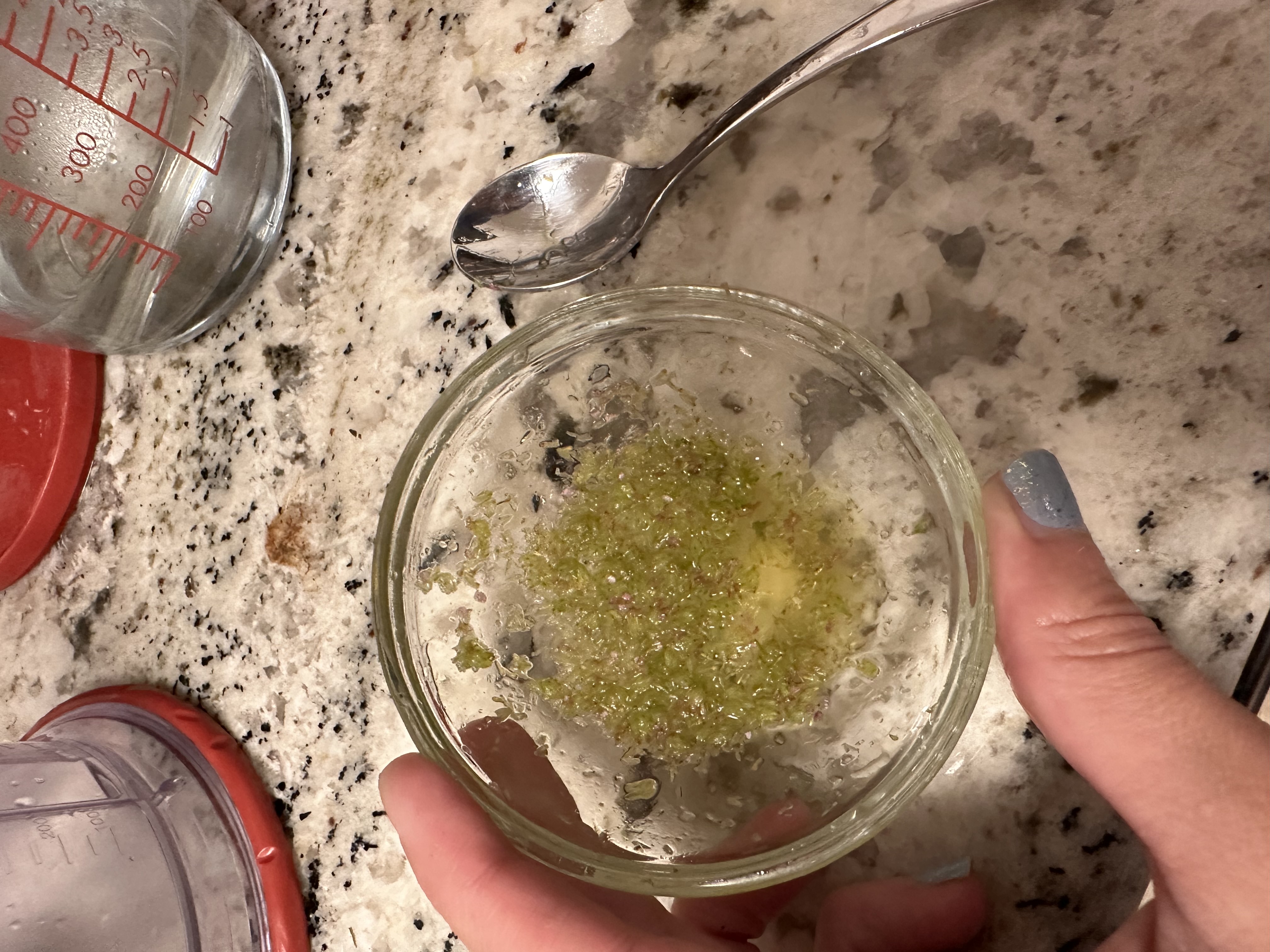 Make a Yarrow Leaf or Blossom Poultice - PEP BB medicine.sand.poultice ...