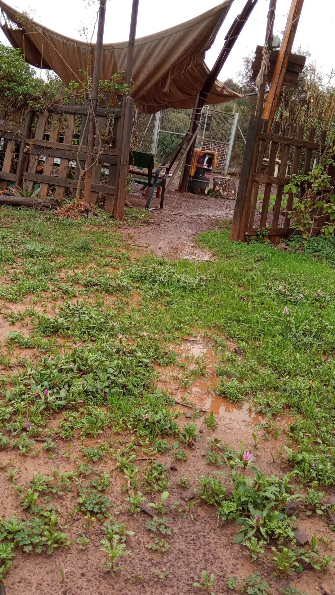 Project: Gardens of Orchard Dignity (permaculture sites forum at permies)