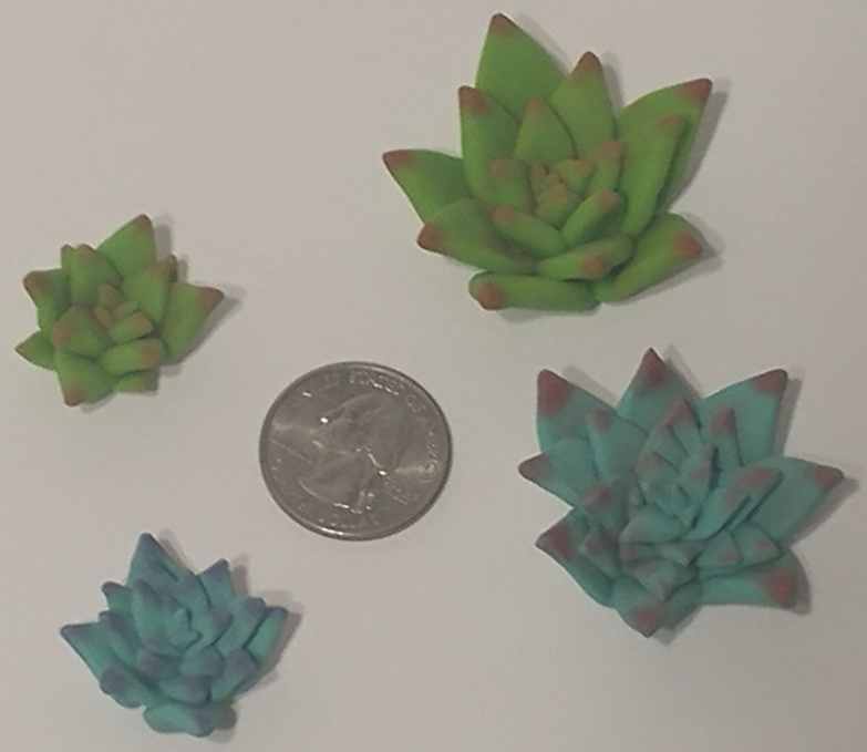 Introducing Sculpted Succulents by Valentine (permaculture sculpture ...