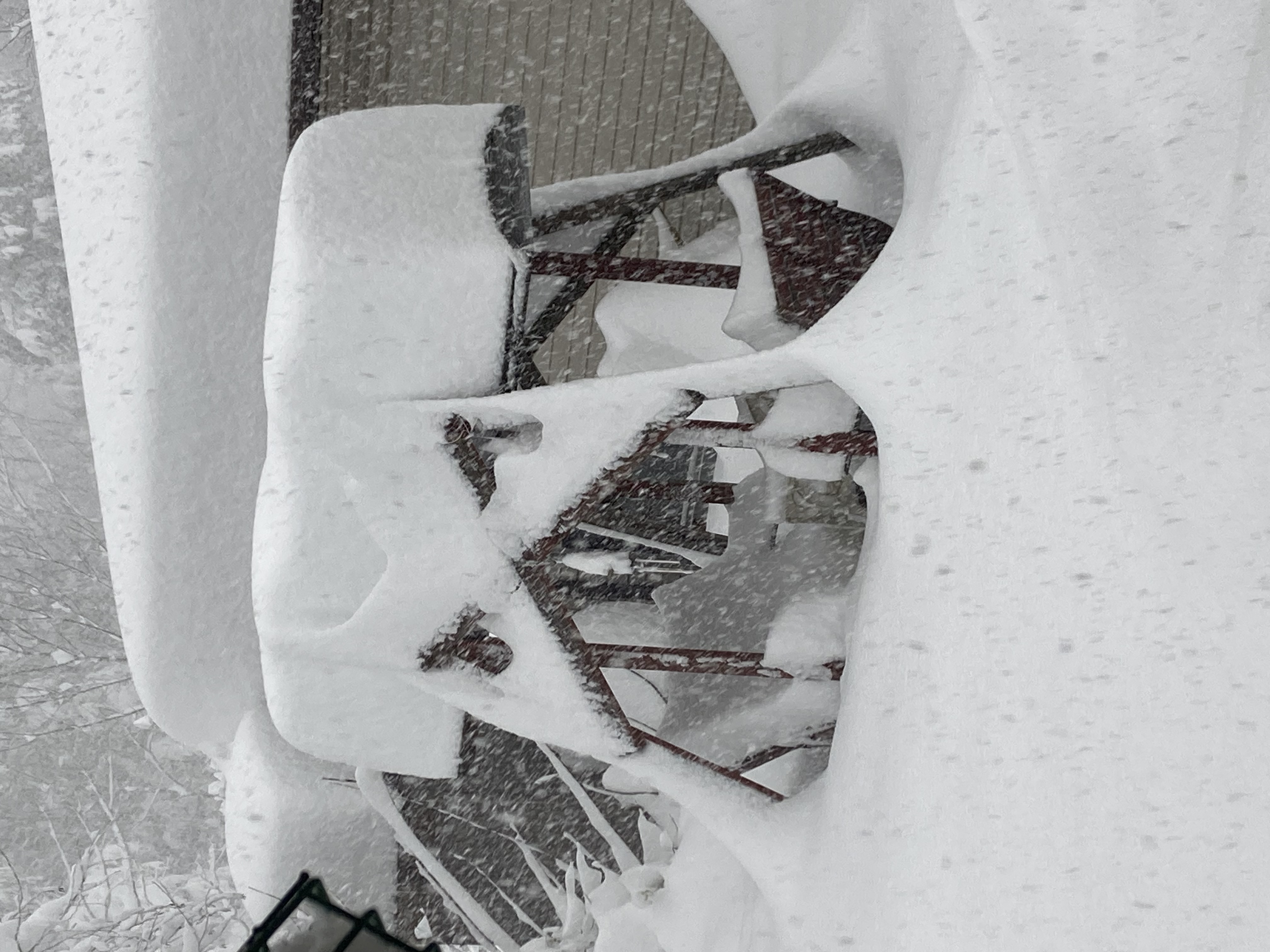 Buffalo Snowpocalypse 2022 (meaningless drivel forum at permies)