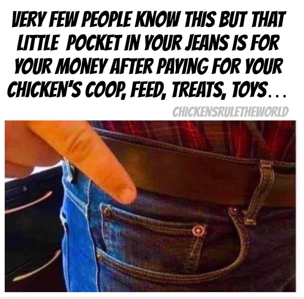 Down on the Funny Farm (pics, memes & anecdotes) (meaningless drivel ...