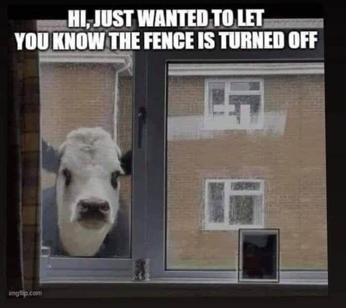 Down on the Funny Farm (pics, memes & anecdotes) (meaningless drivel ...