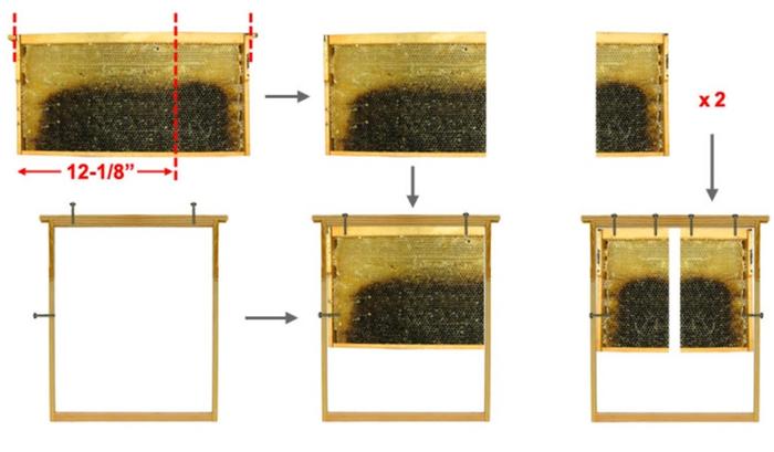 How to add full depth langstroth frames into a layens horizontal hive ...