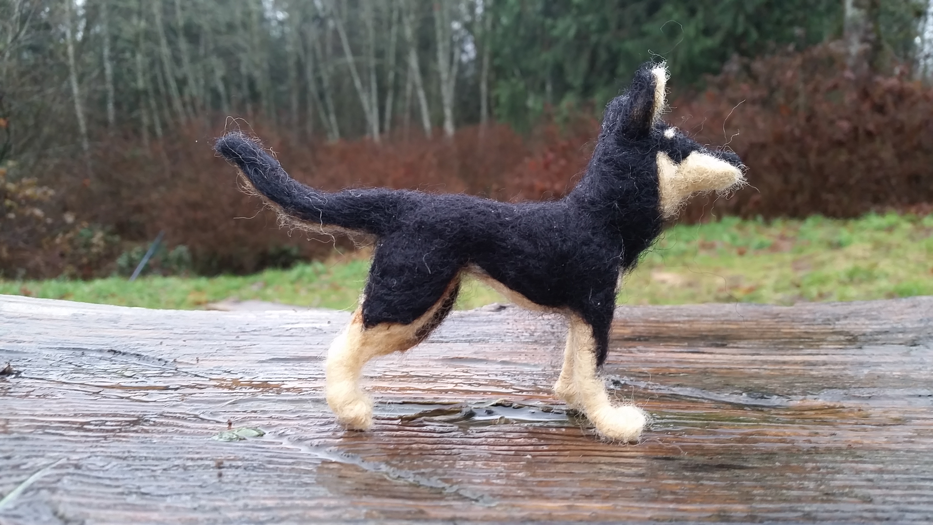 Anyone have aerial pictures of standing dogs? I'm trying to make an ...