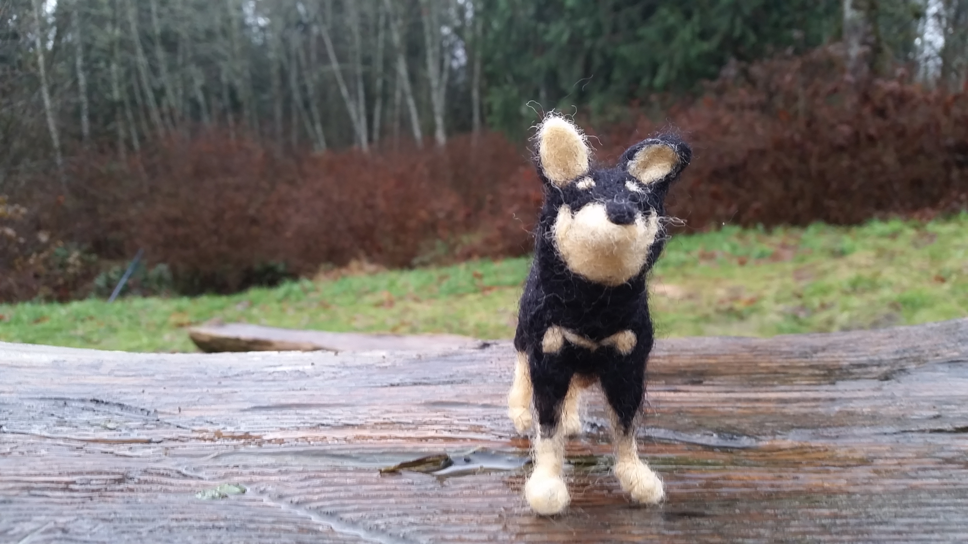 Anyone have aerial pictures of standing dogs? I'm trying to make an ...