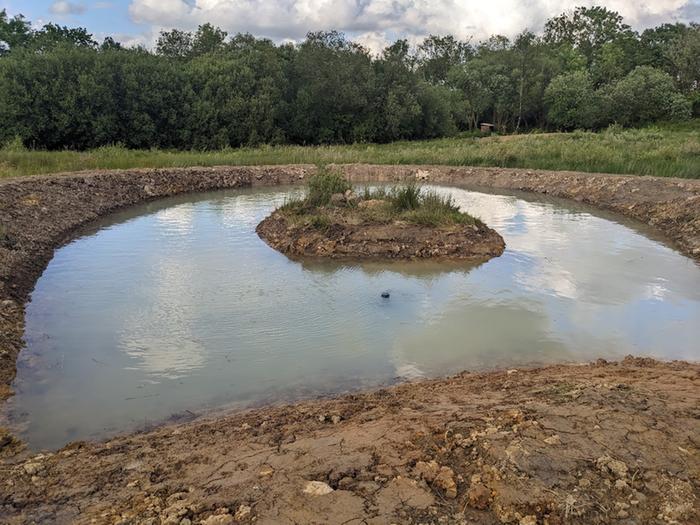 New duck pond - suggestions and feedback welcome (ducks and geese forum ...