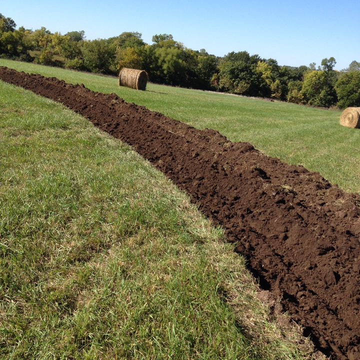 Swale berm planting suggestions (earthworks forum at permies)