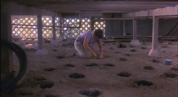 Did Vern Ever Find His Pennies? | The StephenKing.com Message Board