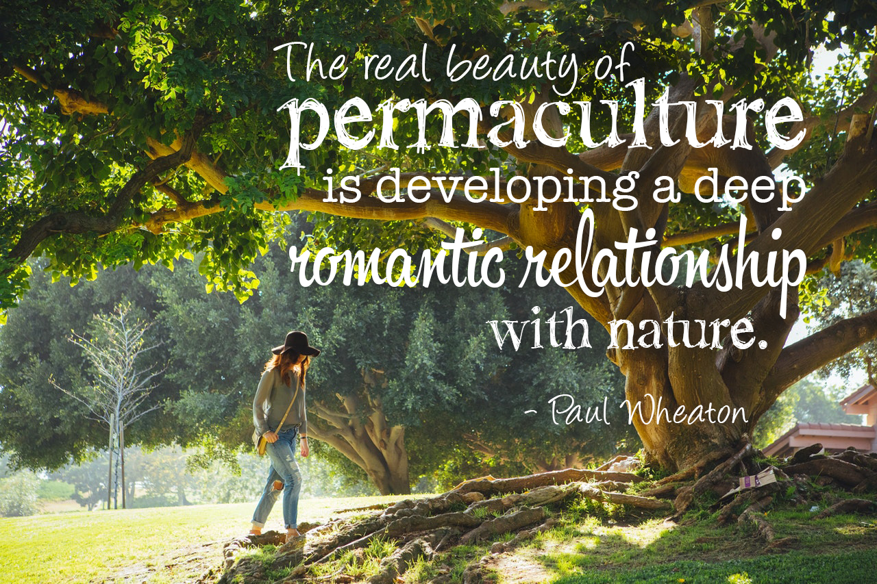 Permaculture Quotes Think Like An Ecosystem: An Introduction To