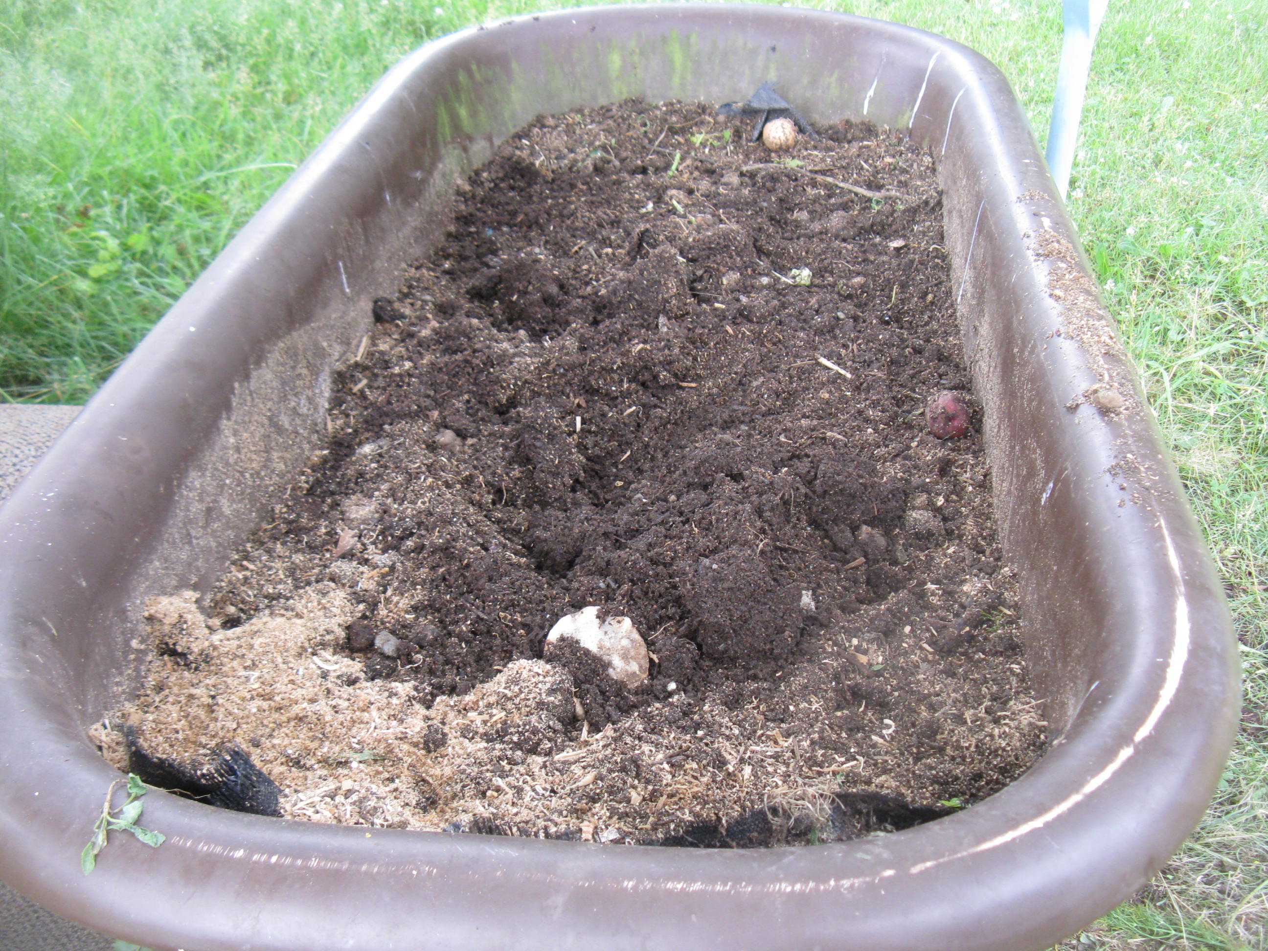 What was supposed to be a worm farm in now a maggot farm... (composting ...