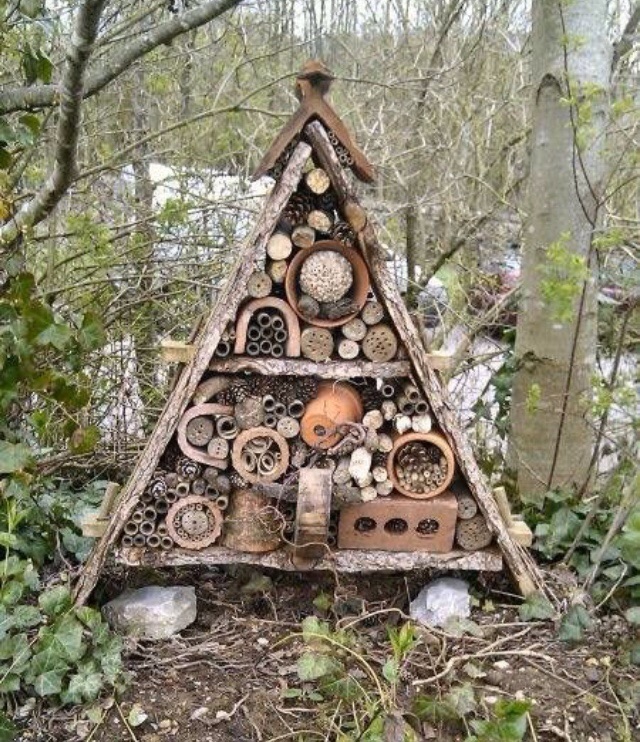 The bug house.. (bugs forum at permies)