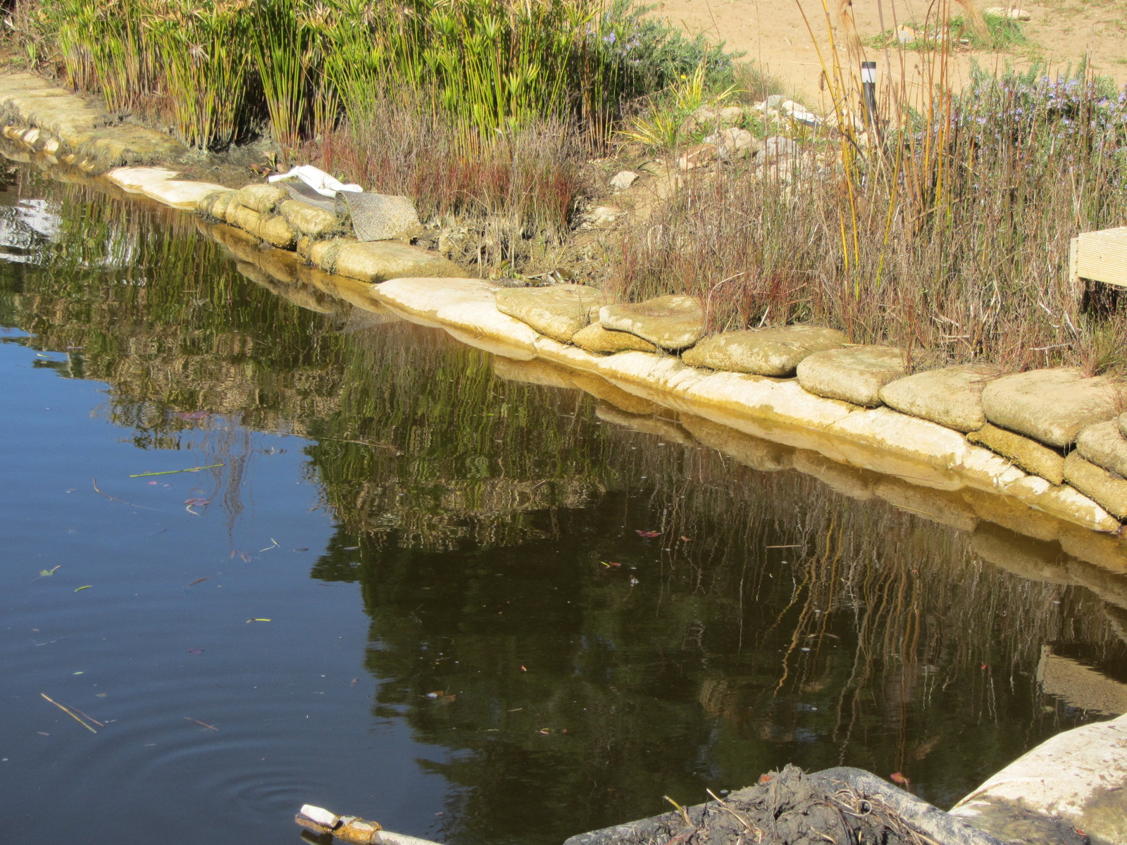 Earthbag swiming pool (earth bag forum at permies)