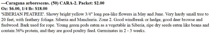 Siberian Pea Tree aka Caragana Arborescens - Edible, but are they good ...