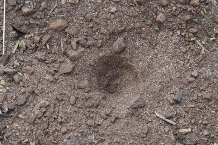 Fred's photos from Wheaton Labs (wheaton laboratories forum at permies)