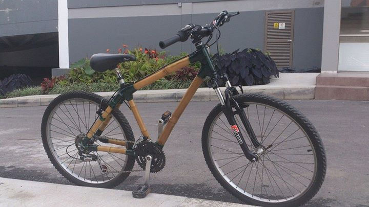 Natural Material Bicycle (bicycle forum at permies)
