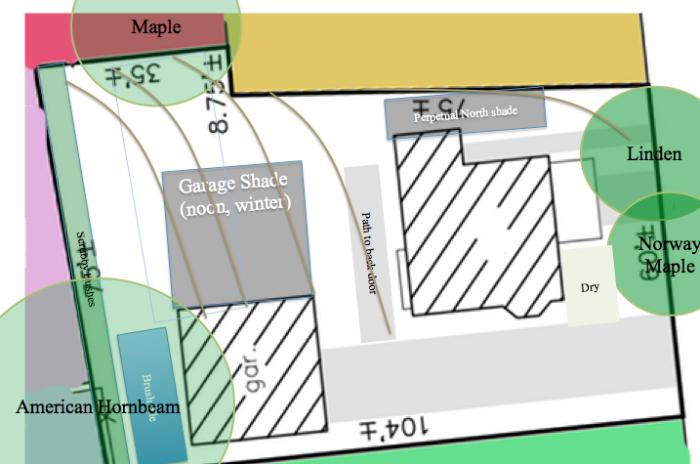 White Oak Guild w/ Emphasis on Edibles (polyculture forum at permies)