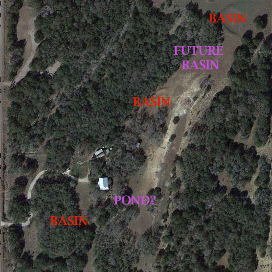 Forests and ponds (permaculture forum at permies)